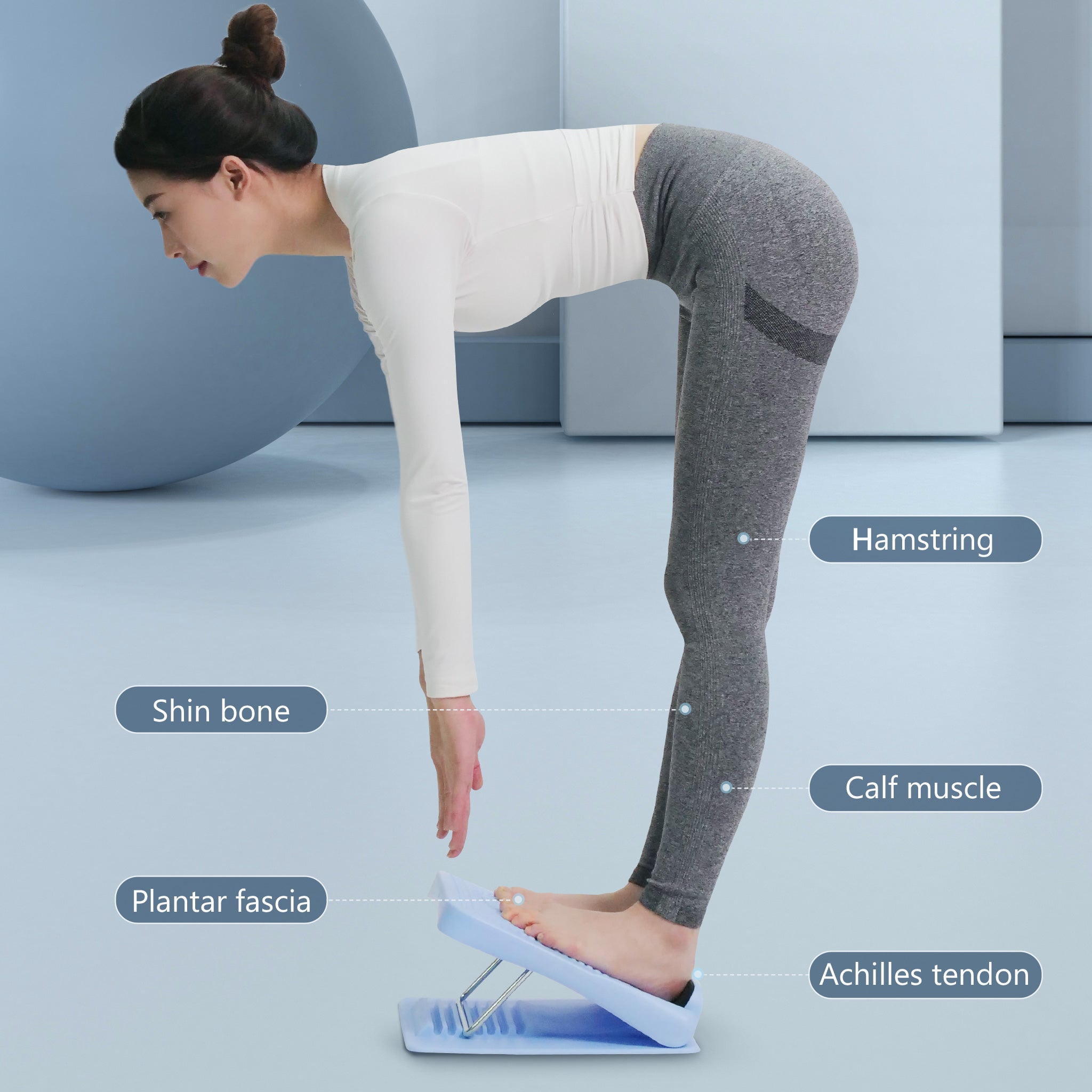 Stiffened Board – Athspo